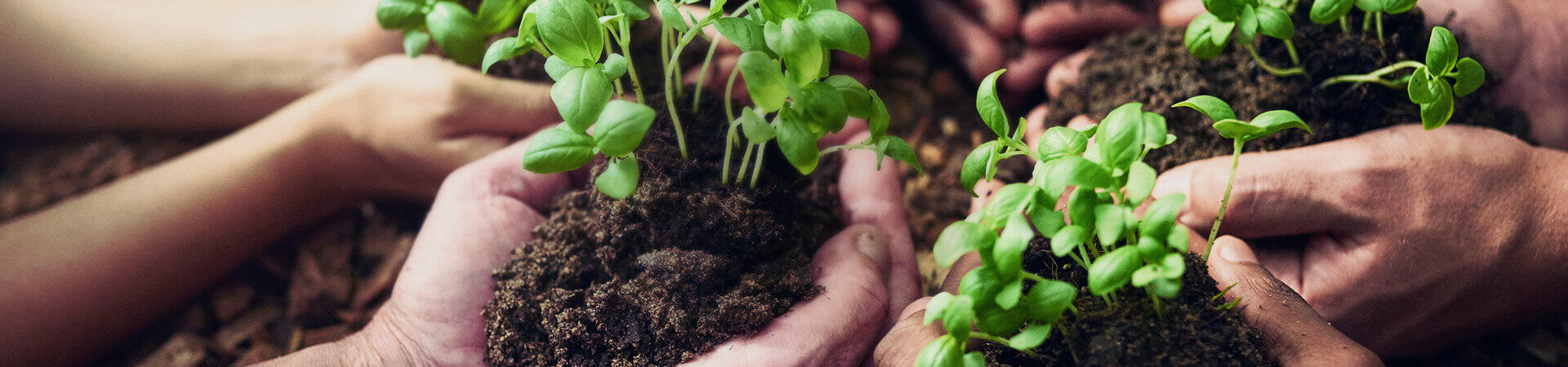 Overview And News - fcfc